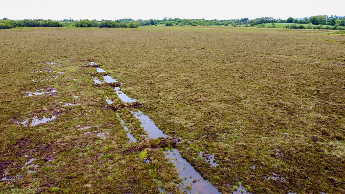 131: Lowland Raised Bogs with Simon Gray – Tommy's Outdoors