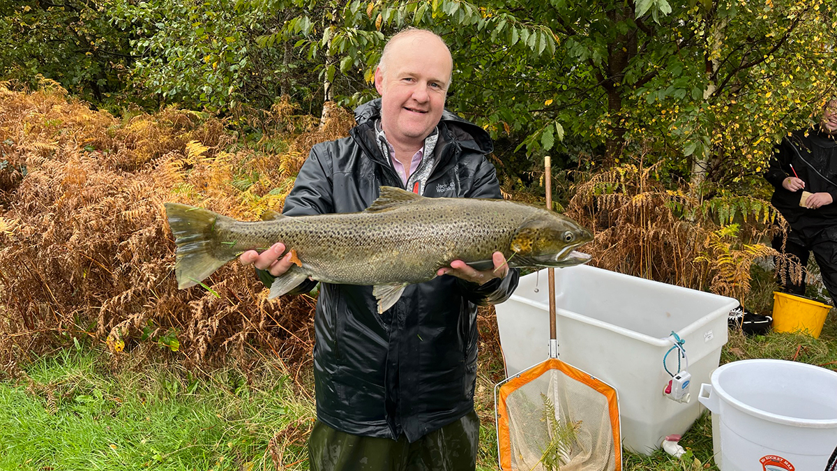 137: Salmonid Studies with Richard Kennedy – Tommy's Outdoors
