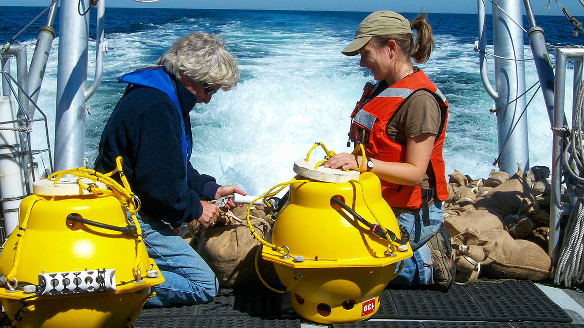 138: Marine Mammals and Aquatic Soundscapes with Denise Risch – Tommy's ...